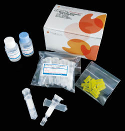 EV-Capture™ EV Purification Spin Column Kit-其他特色试剂盒-深圳欣博盛生物科技有限公司