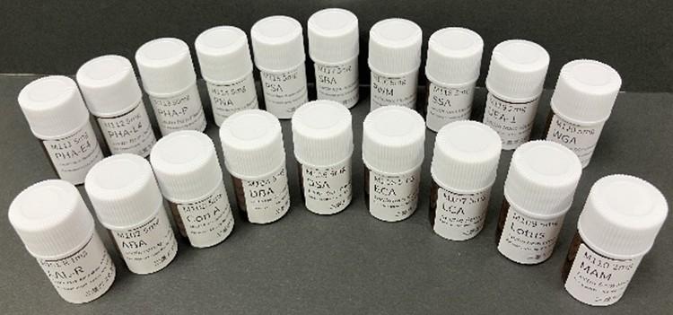 Arachis hypogaea (peanut) [PNA] Lectin (biotin labeled)-生物素标记凝集素-深圳欣博盛 ...